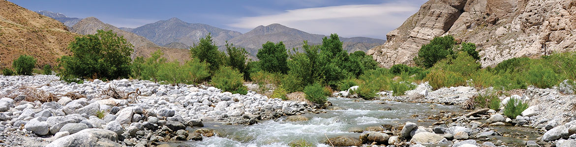 Laws and Regulations