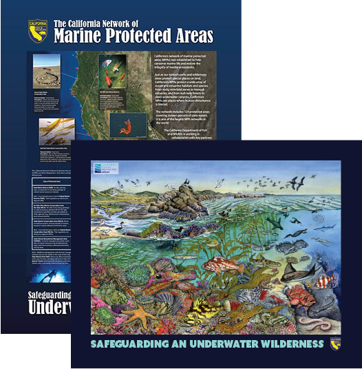 MPA Resources