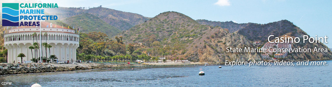 California Marine Protected Areas (MPAs)