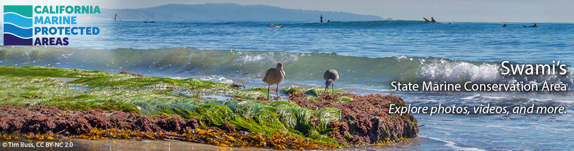 California Marine Protected Areas (MPAs)