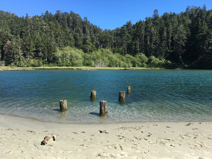 Big River Estuary State Marine Conservation Area