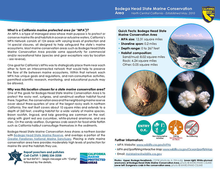 Bodega Head State Marine Reserve/State Marine Conservation Area