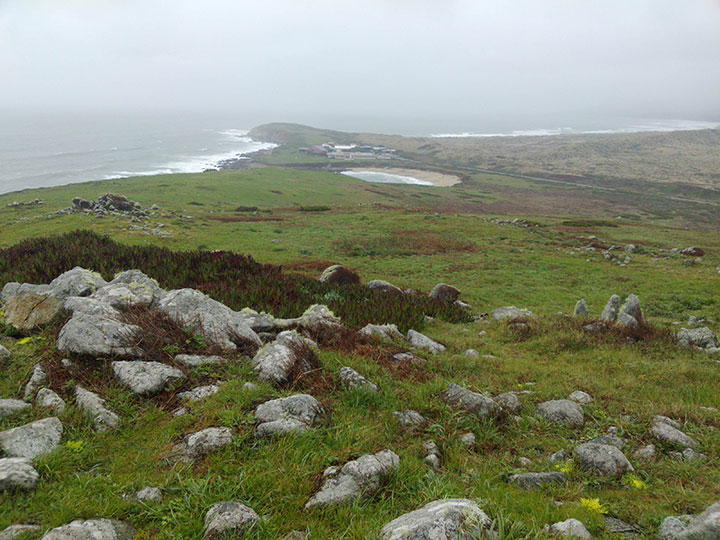 Bodega Head State Marine Reserve/State Marine Conservation Area