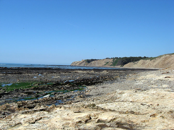 Duxbury Reef State Marine Conservation Area