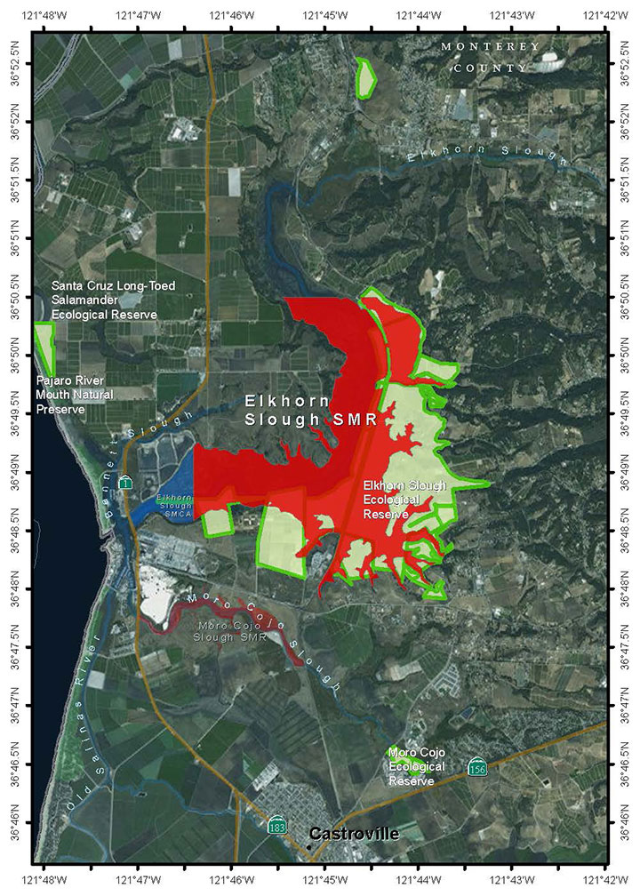 Elkhorn Slough State Marine Reserve/State Marine Conservation Area