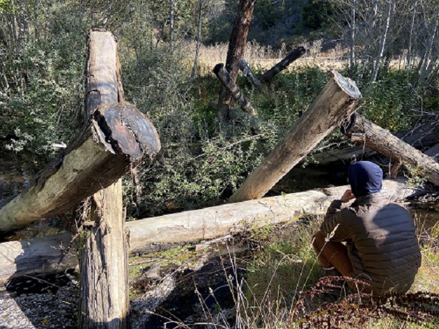 North Coast Salmon Project