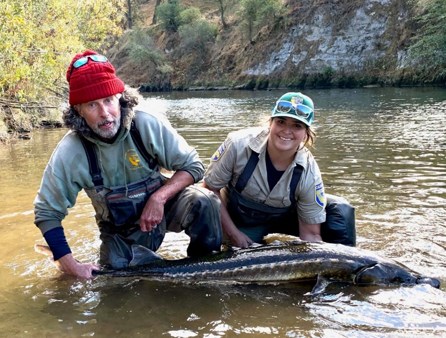 Drought Stressor Monitoring Case Study: Confirmed Presence of Green ...