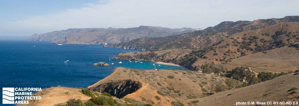 Arrow Point to Lion Head Point State Marine Conservation Area