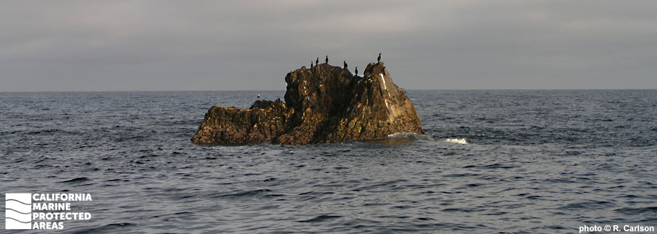 Begg Rock State Marine Reserve