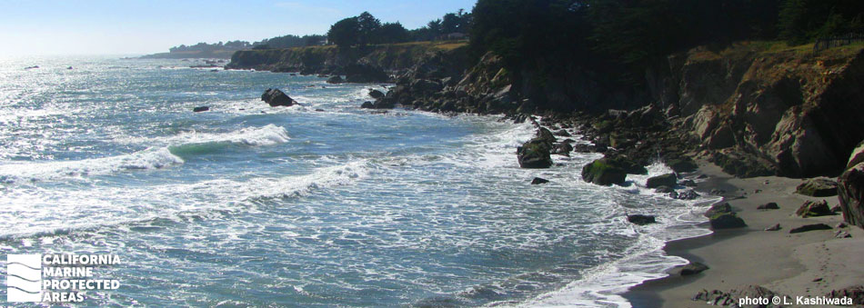 Del Mar Landing State Marine Reserve