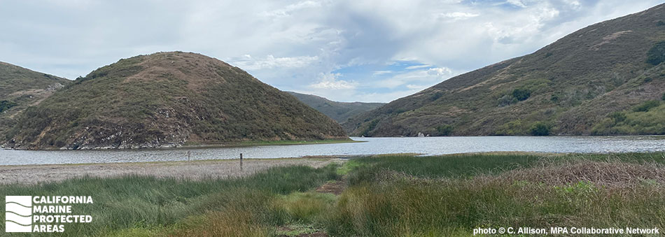 Estero Americano State Marine Recreational Management Area