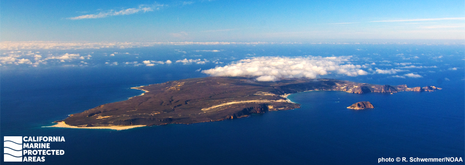Harris Point State Marine Reserve/Federal Marine Reserve