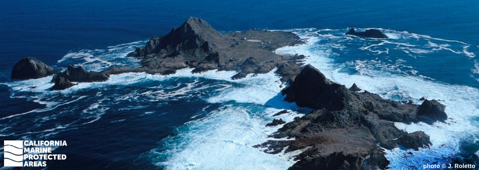 Southeast Farallon Island State Marine Reserve/State Marine ...